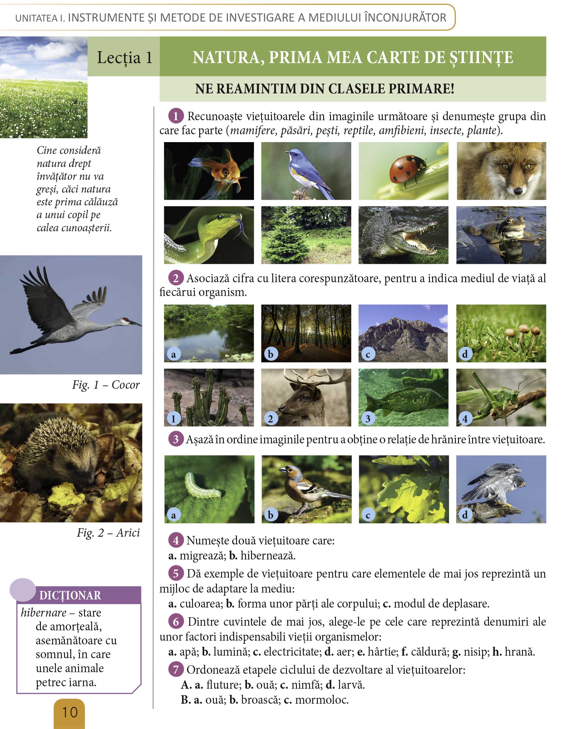 Recapitulare finală 107-110 Evaluare finală 111 Principalele grupe de ...